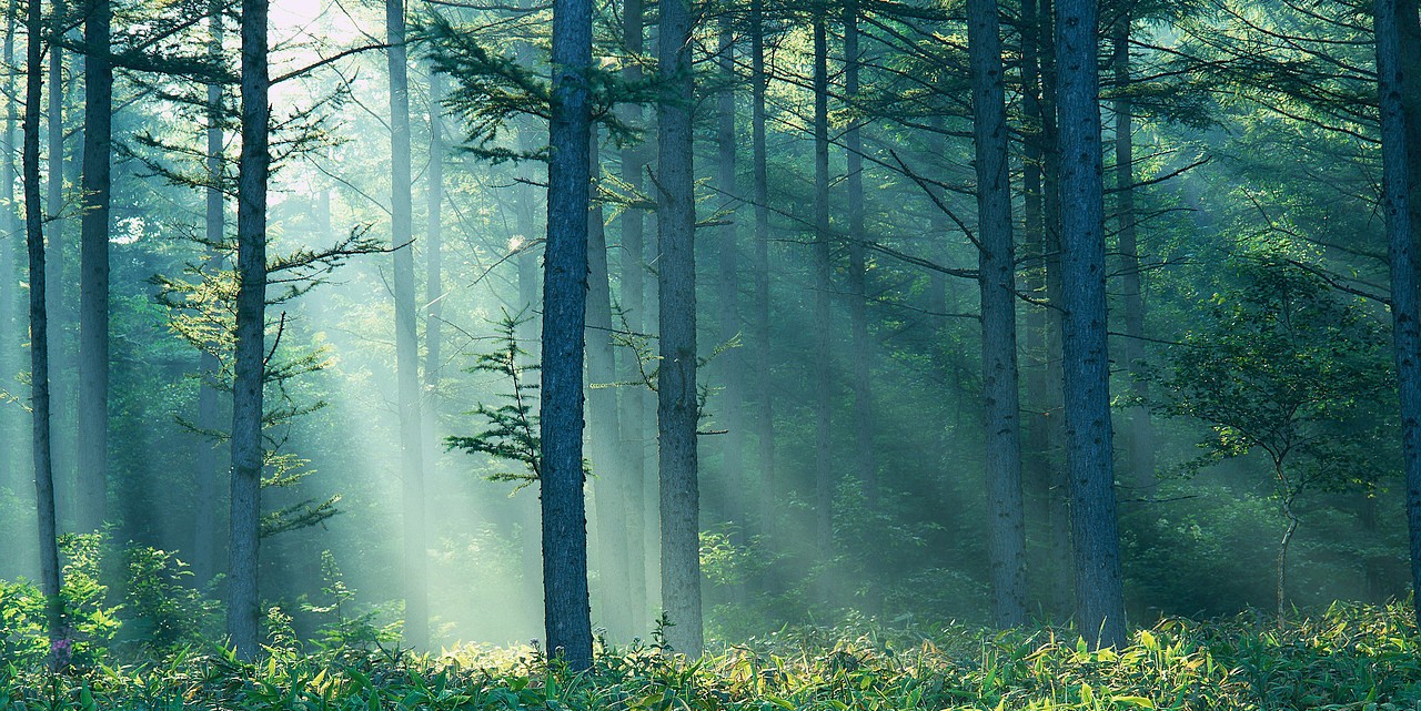 RR Channel Maps - Walco Radio and Electronics Ltd.